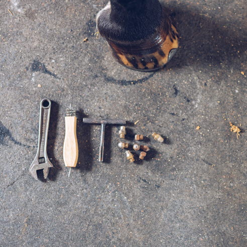 Om broddsår inom området Häst - Agria Djurförsäkring