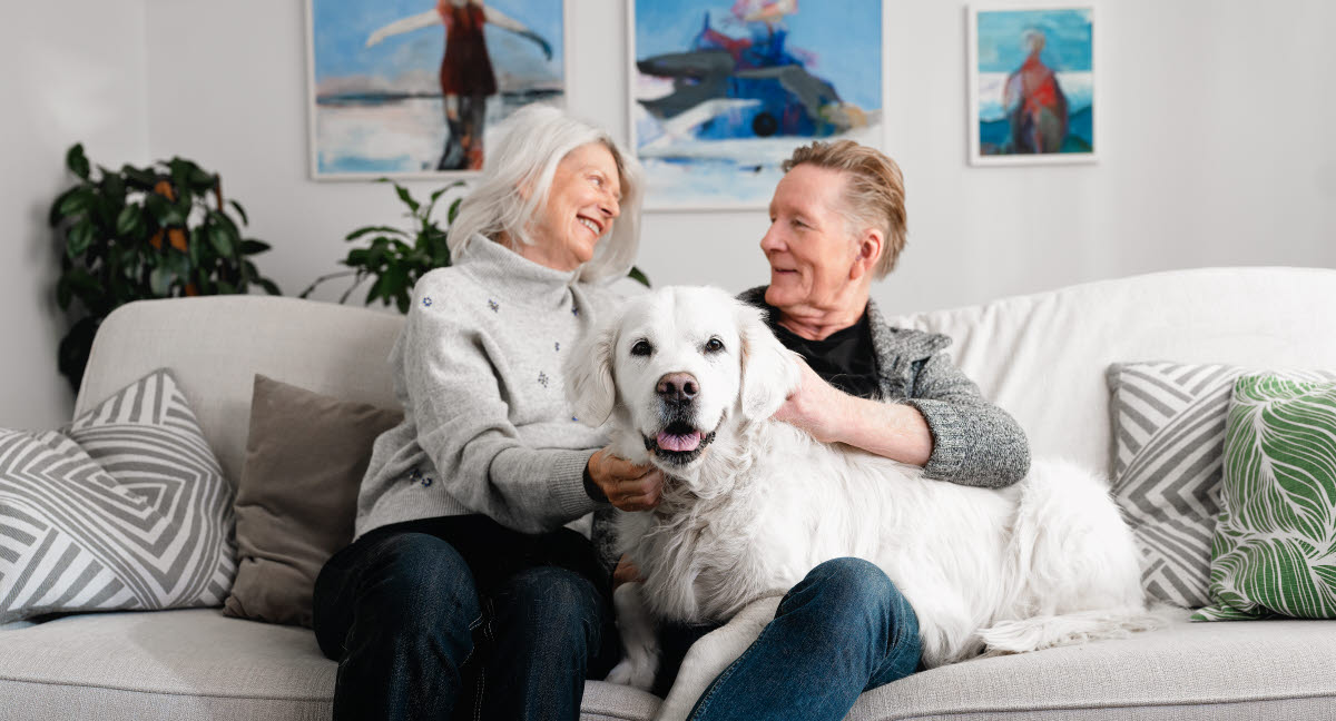 Hundtricket – få fler vänner med din hund - Agria Djurförsäkring